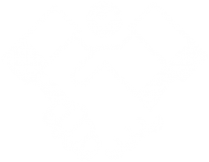 About - Global Paratransit