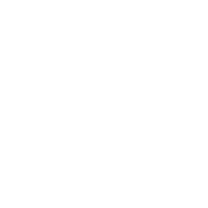 About - Global Paratransit